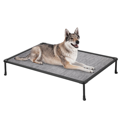 Tucker Murphy Pet™ Tucker Murphy Elevated Bed Chewproof Cooling Raised ... Tucker Murphy Pet™ Tucker Murphy Elevated Bed Chewproof Cooling Raised ...